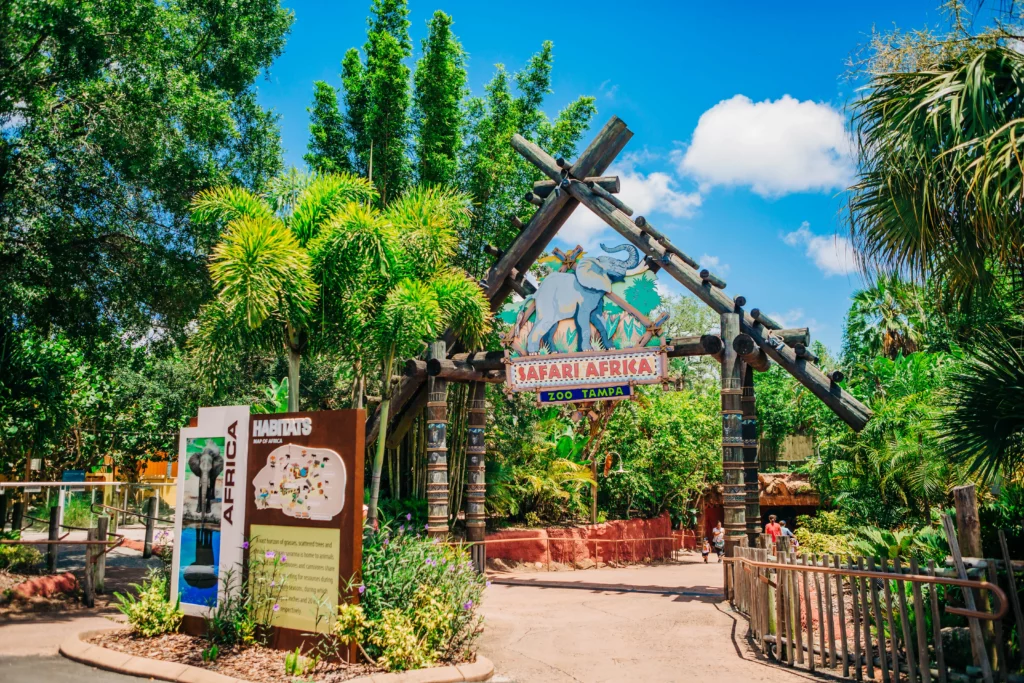 Exciting expansions are in store for ZooTampa, Busch Gardens, and the ...