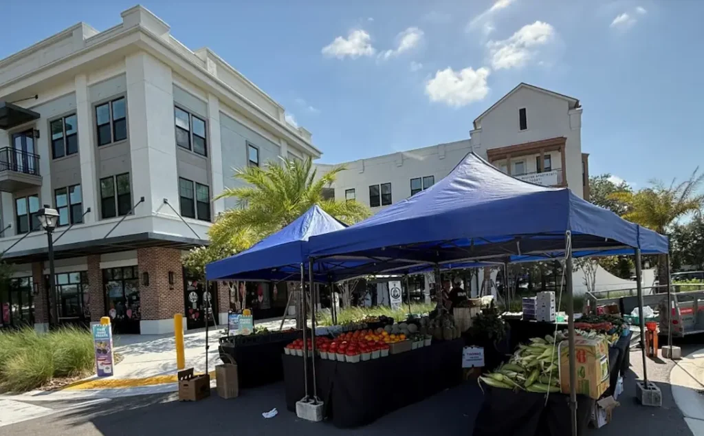 Tallo Brings Caribbean Fusion Flavors to Wesley Chapel Tampa | TAMPA LATEST